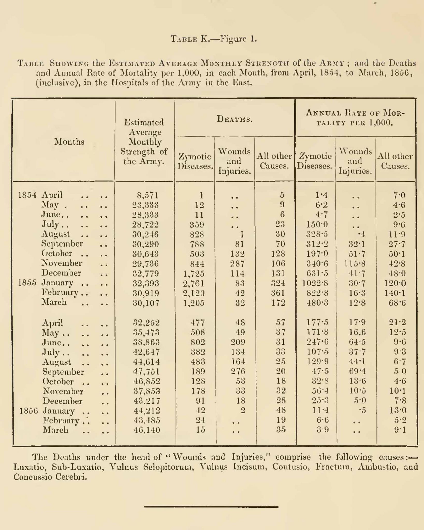 Dataviz Pioneer Florence Nightingale | tapegraph blog
